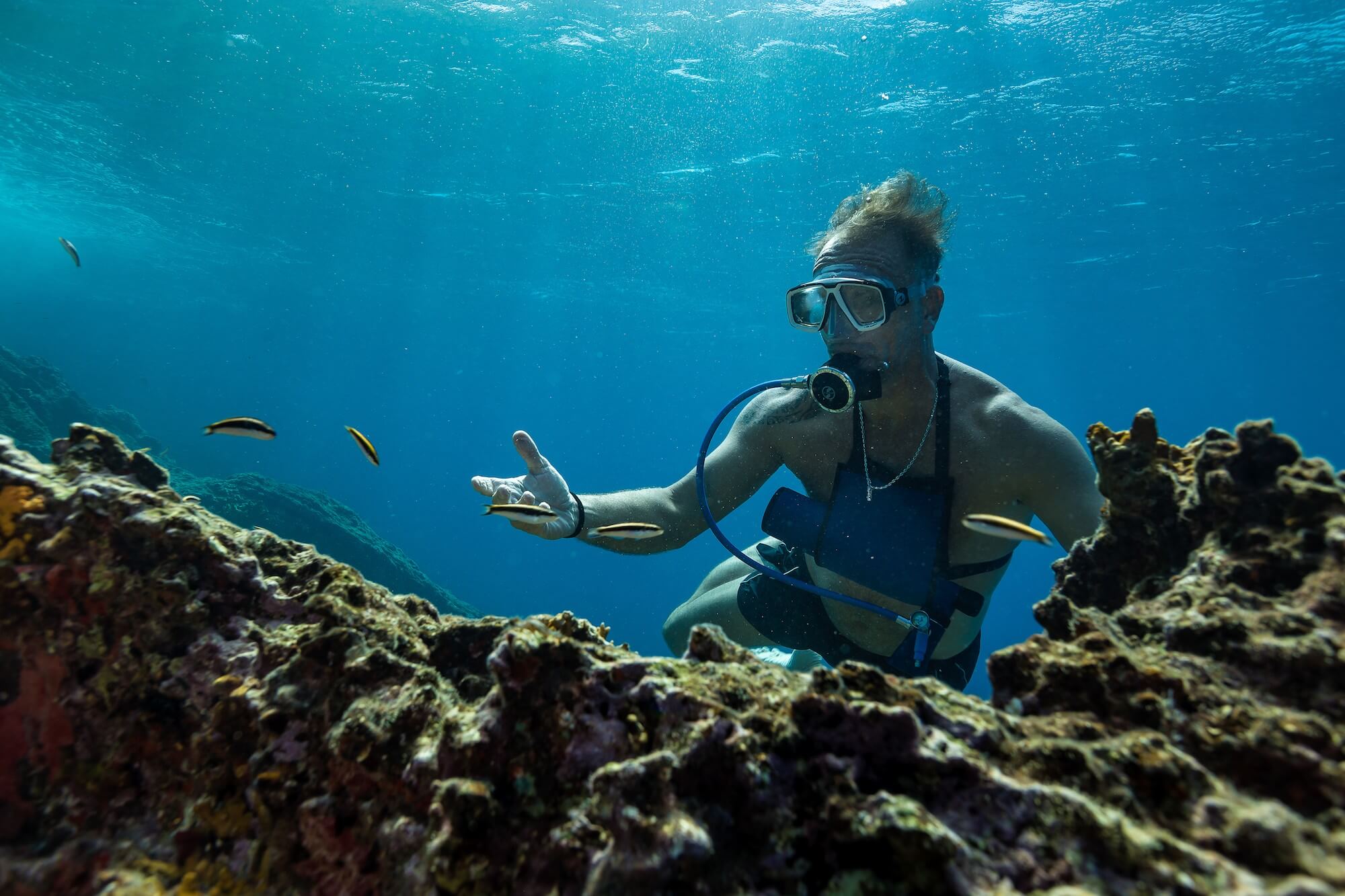 Scuba diving equipment - Mini scuba tank gear review oxygen